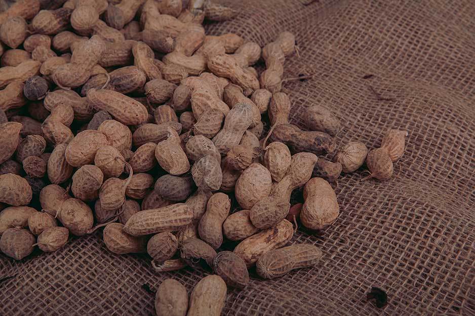 peanuts-processing-and-supply-from-africa – Go Africa Global